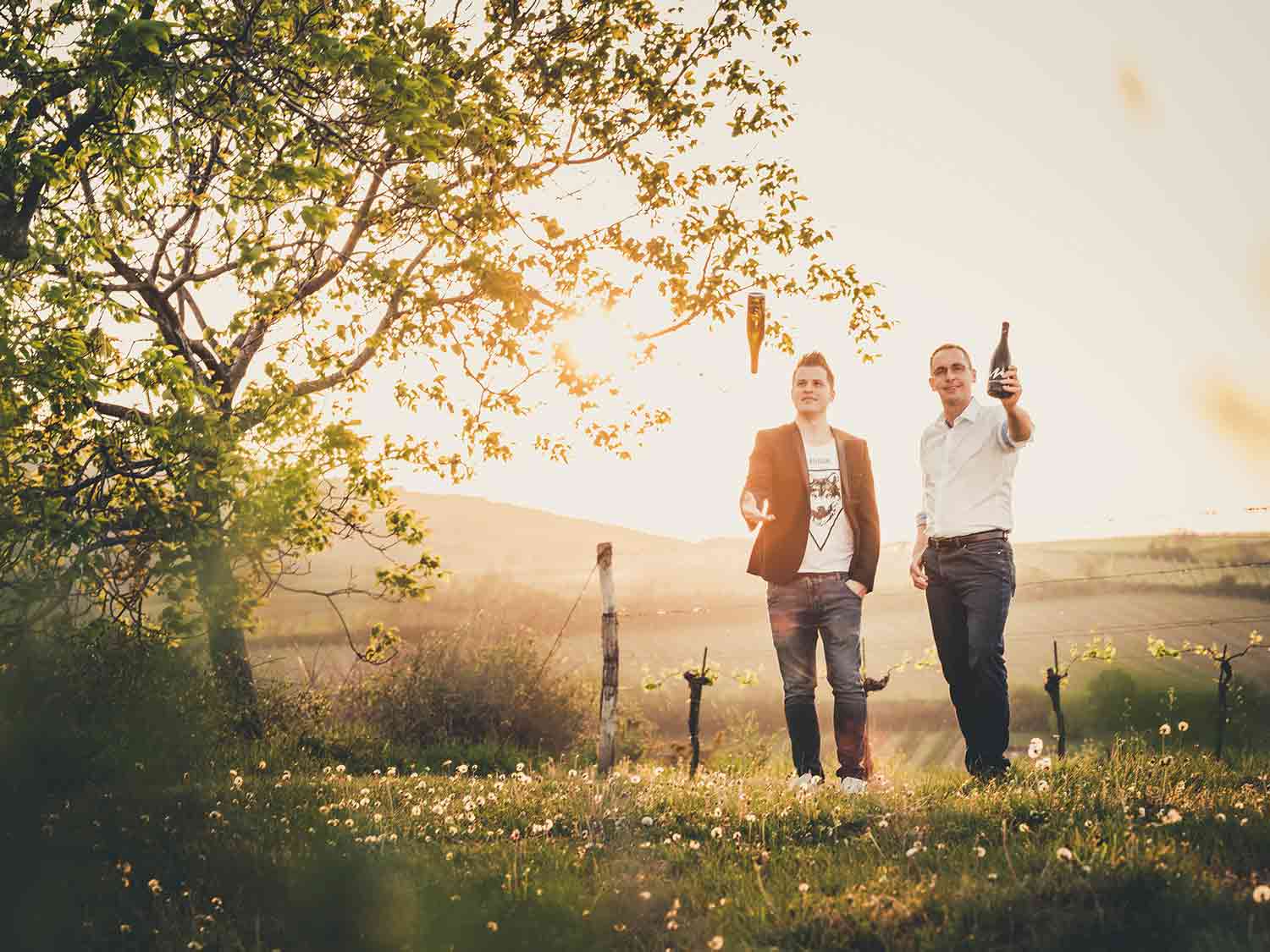 Weingut Hagn | Weinquartier Retz